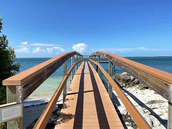 This boardwalk leads to the kind of views that make you forget you left your phone in the car.