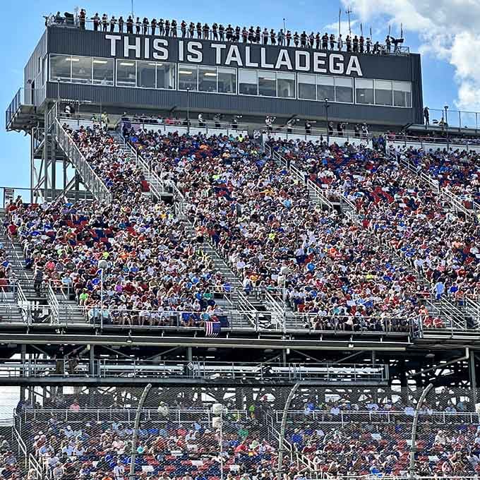 These fans know something special when they see it, and they've got the perfect seats to prove it.
