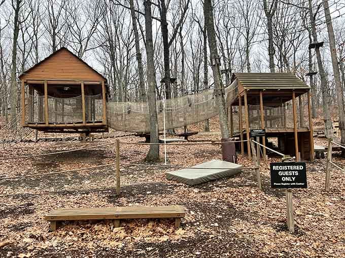 These wooden platforms are where dignity goes to take a vacation and adrenaline clocks in for overtime.