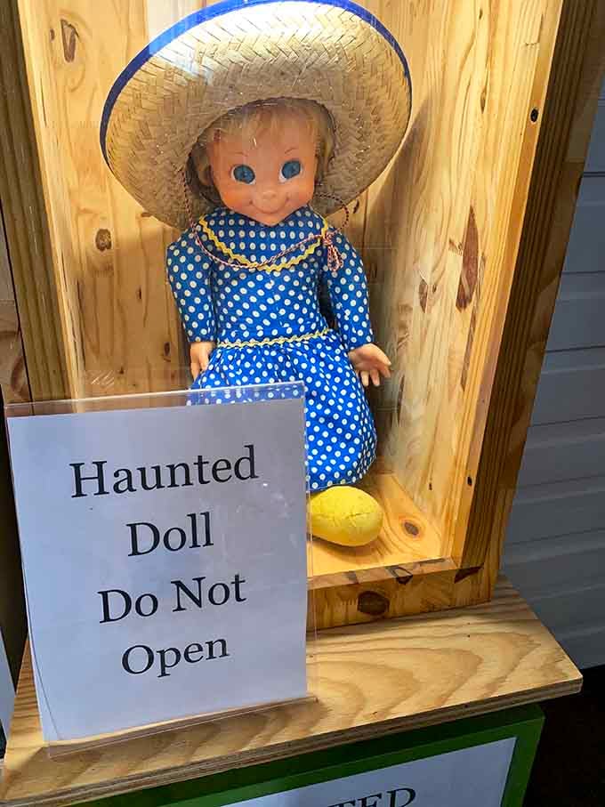 When the sign says "Do Not Open," it's probably wise to listen, especially with those unblinking blue eyes staring back.