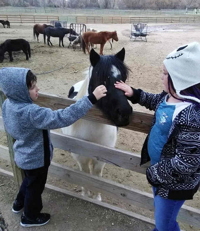Nothing beats the gentle magic of kids connecting with ponies who've mastered the art of patience.