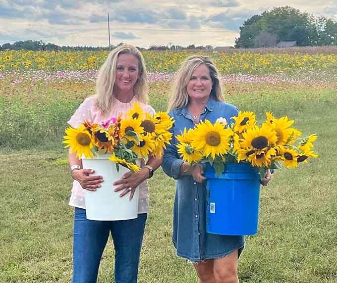 Armed with buckets and smiles, visitors collect sunshine stems to brighten their homes for days to come.