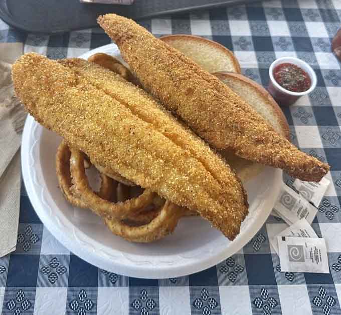 Those whole catfish fillets wear their cornmeal coating like a badge of honor, paired with onion rings for maximum indulgence.
