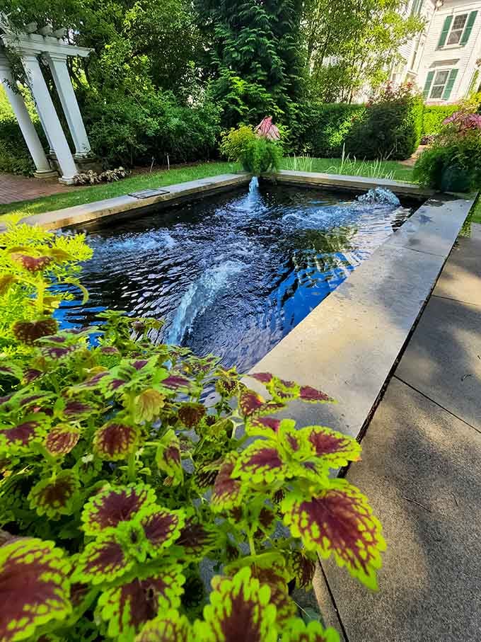 This reflecting pool proves that sometimes the best mirror is the one surrounded by flowers and tranquility.