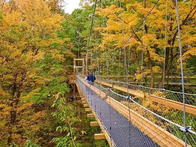 Fall colors so vivid they make your autumn sweater collection look like it gave up trying.