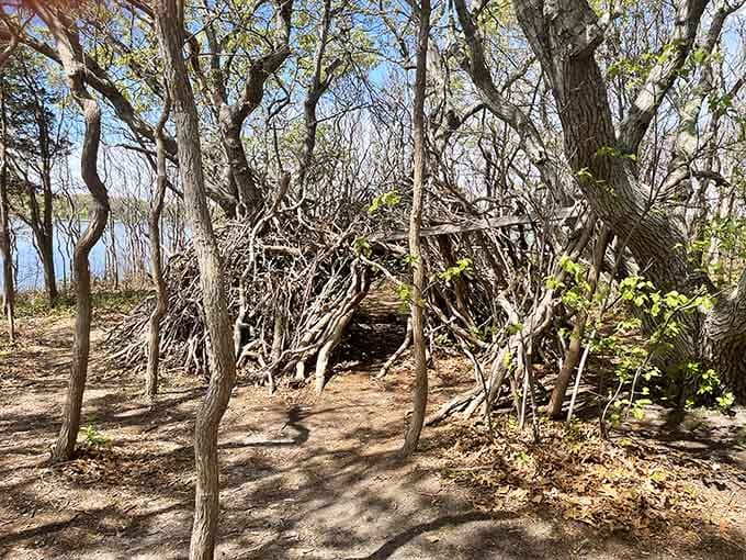 The wooded approach keeps you guessing, building anticipation like the world's most beautiful nature-based surprise party.