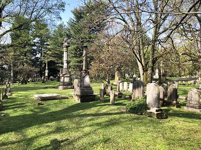 History stands tall among the trees, where Victorian monuments meet nature's timeless artistry in perfect harmony.