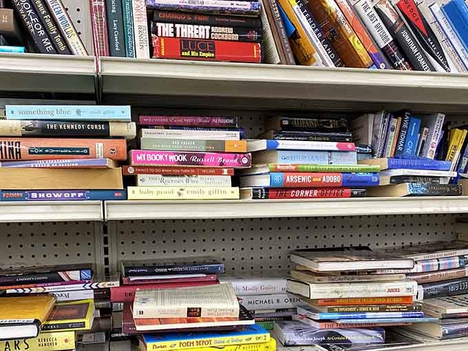Literary adventures await on shelves where mysteries mingle with memoirs in delightful disarray.