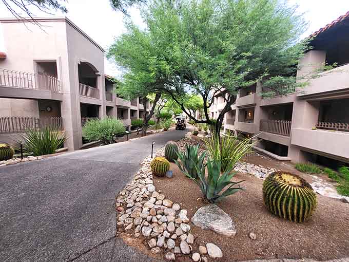 Desert landscaping done right: where barrel cacti and agave plants become your surprisingly charming next-door neighbors.
