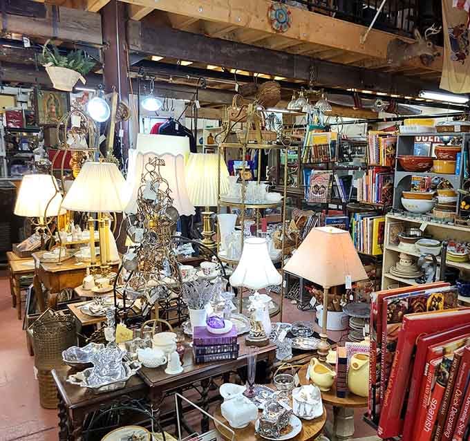 A lamp collector's fever dream where every shade tells a different story from a different decade.