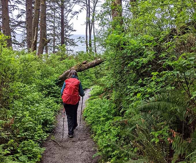 The forest trail promises adventure ahead, and spoiler alert: it absolutely delivers on that promise.