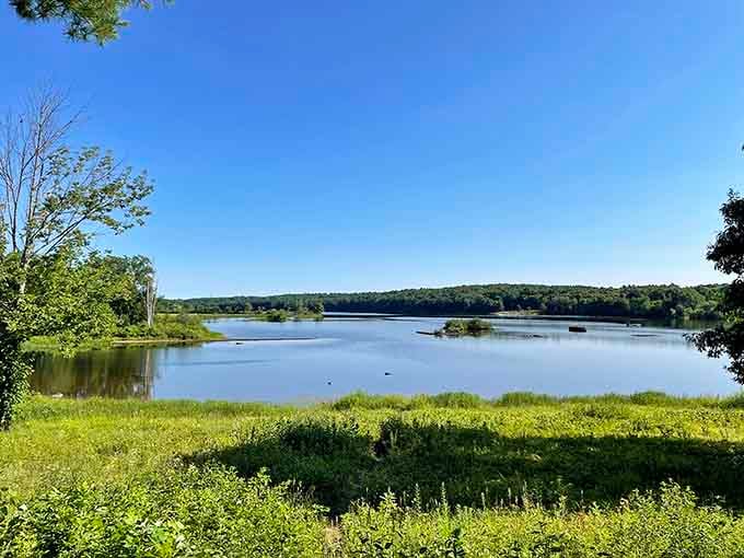 Summer lake views so peaceful, even the ducks probably come here to decompress from their busy schedules.