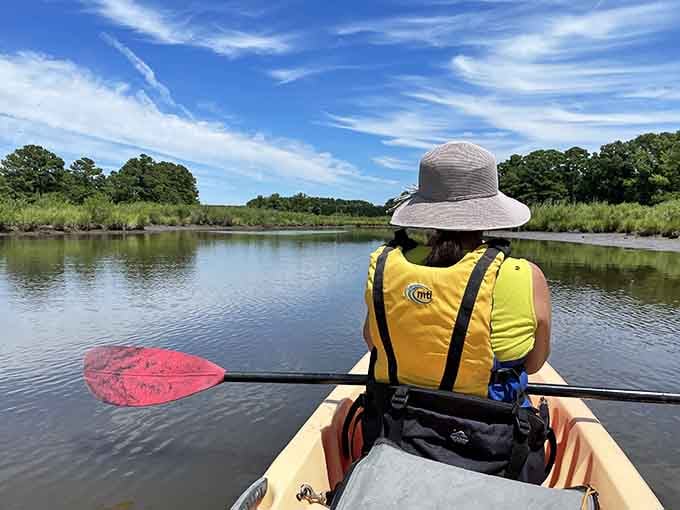 Paddling through marshland where the only traffic jam involves a family of herons crossing your path.