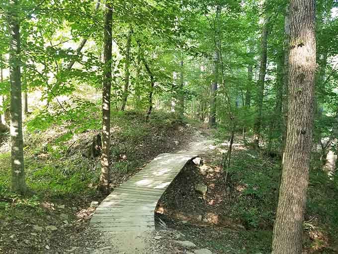 The wooden boardwalk sections give your knees a break while keeping your shoes mud-free, thoughtful trail design.