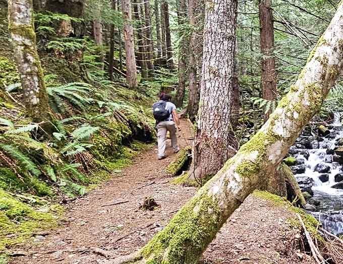 The trail hugs the creek so closely you can hear every splash, gurgle, and reminder that you forgot to pee before starting.