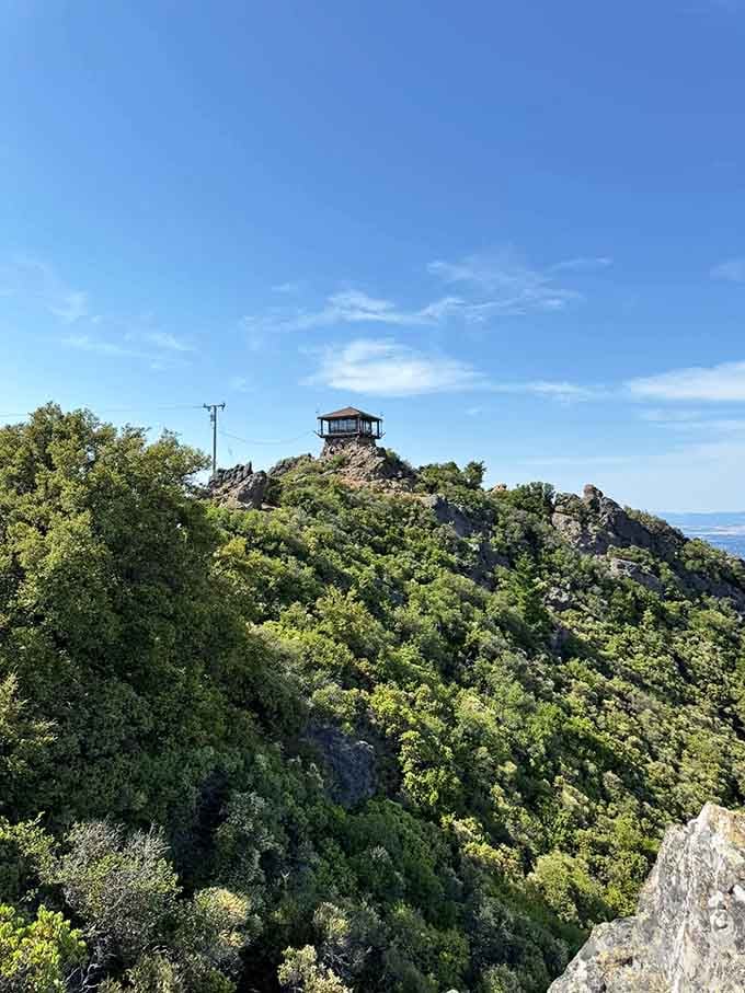 That lookout tower perched on the summit looks like something from a Grimm fairy tale.