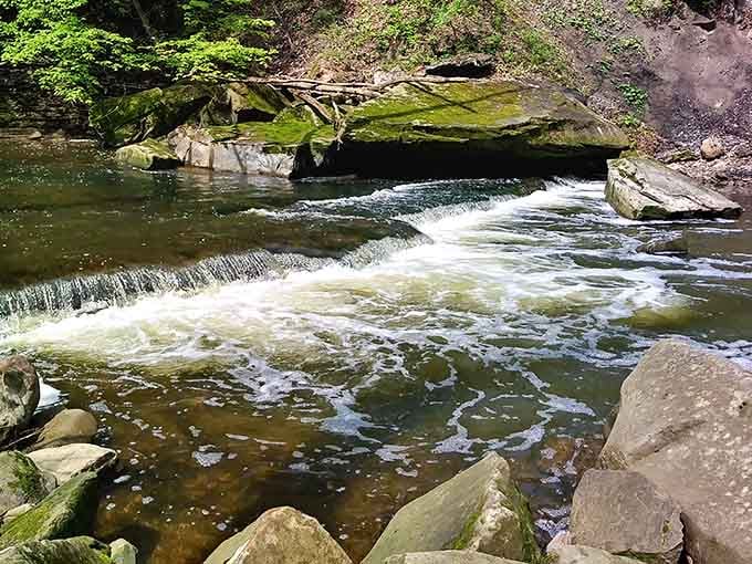 Tinkers Creek flows over layered sandstone, creating pools and cascades that change with every season.
