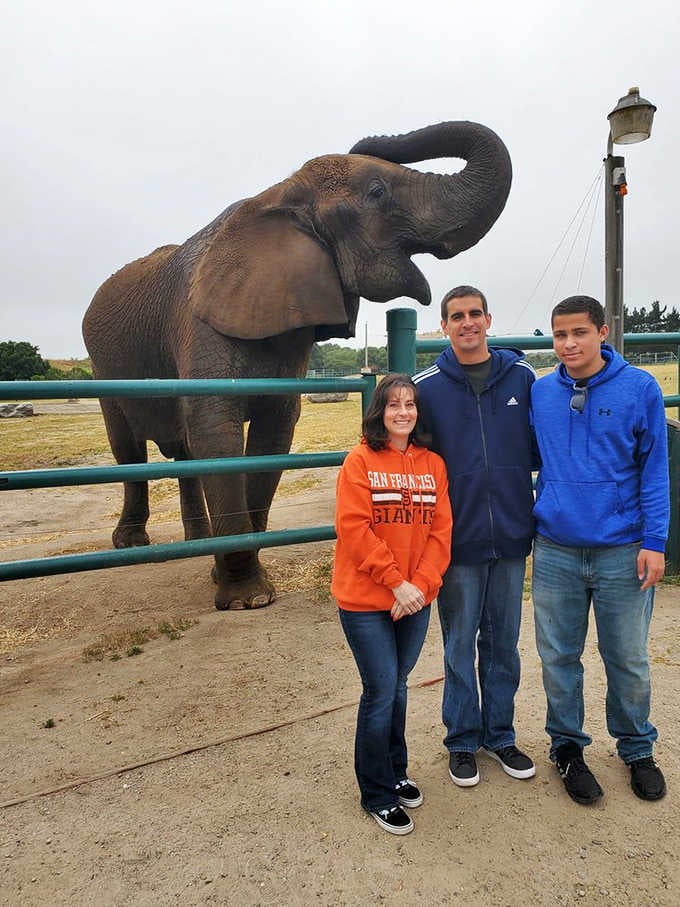 That moment when posing with an elephant becomes your new profile picture and every other vacation photo seems embarrassingly ordinary.