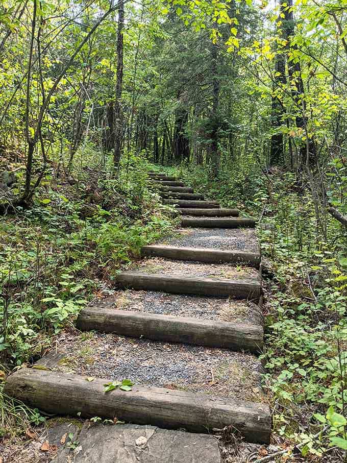 These rustic steps lead upward through the forest, each one a small promise of better views ahead.