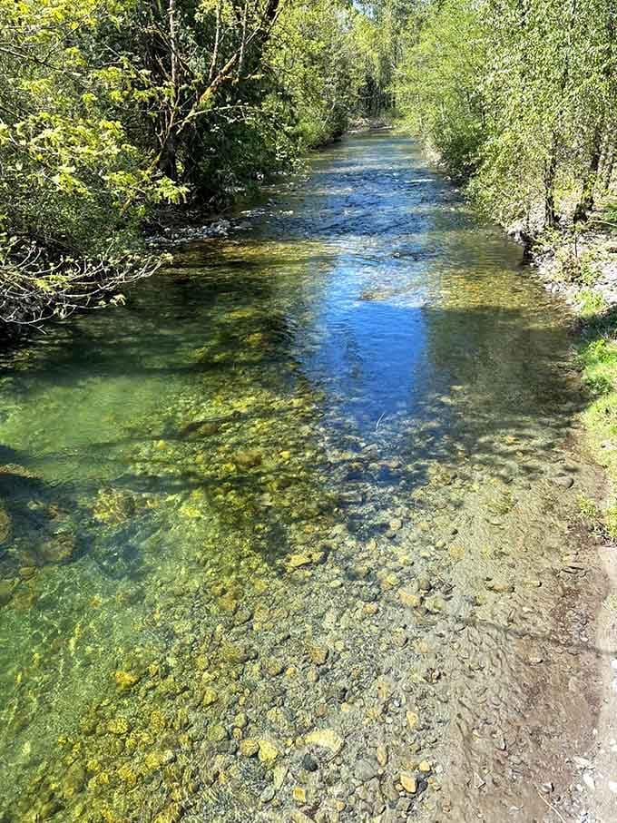 Crystal-clear water flows like liquid glass, making you wonder why anyone bothers with fancy water filtration systems back home.
