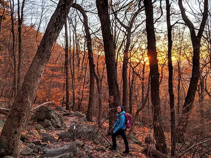 Golden hour hiking through autumn woods&mdash;when the trees put on a better light show than Times Square ever could.
