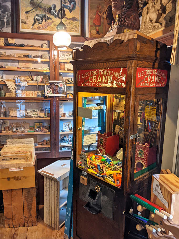 An actual vintage crane game stands ready to test your skills and your patience in equal measure.