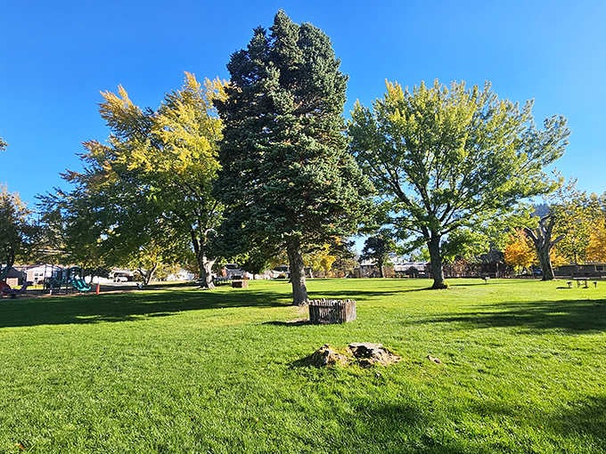 Bel Air Park offers green space where kids can play without scheduling it three weeks in advance.