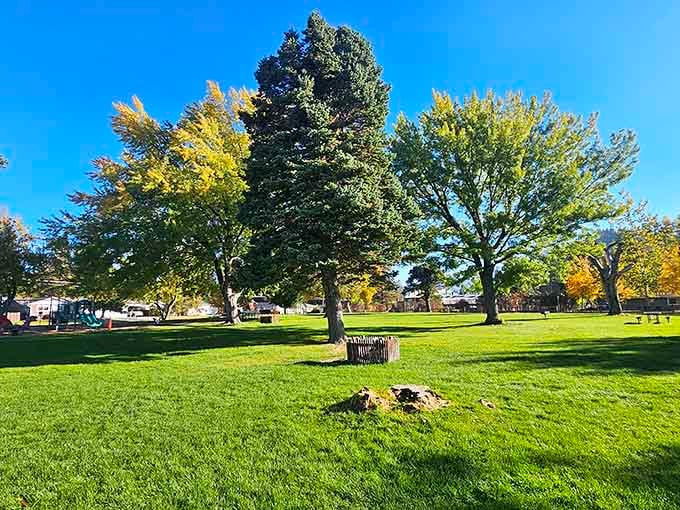 Community parks with actual grass and shade trees, the kind of simple pleasures that feel revolutionary in modern California.