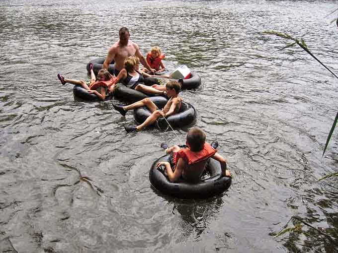 Family flotilla in formation, proving that togetherness floats better than it walks these days.