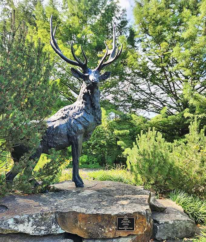 A majestic elk sculpture stands guard, adding unexpected drama to your peaceful garden stroll through Elkhart.