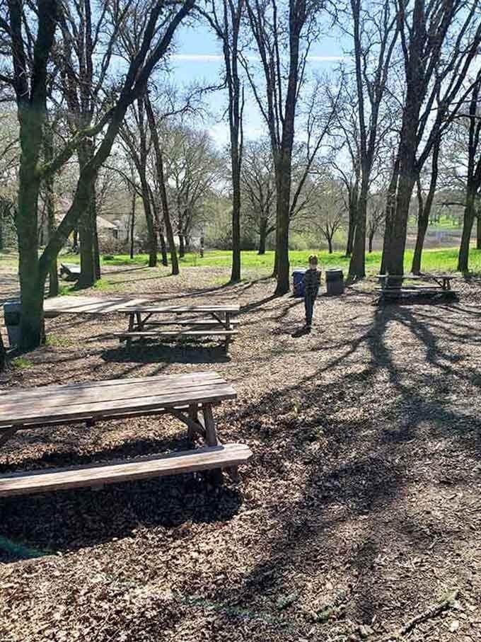 Perfect picnic spots under towering trees remind you that the best restaurants don't always have walls.