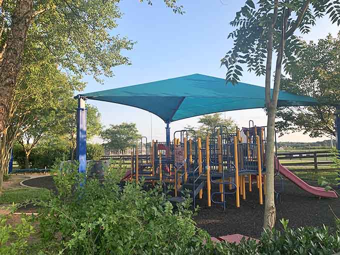 Shade structures over playgrounds are the unsung heroes of summer, saving parents from the "too hot to slide" meltdown.
