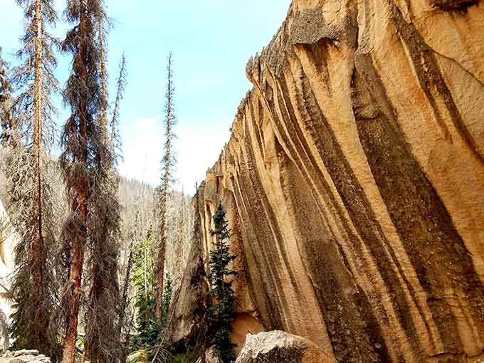 Vertical erosion patterns create natural pinstripes that would make any fashion designer weep with envy and inspiration.