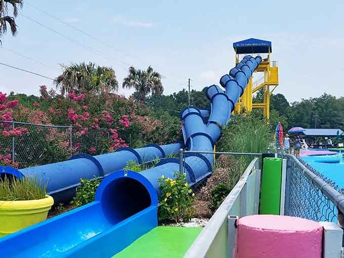 Those twisting slides promise the kind of adrenaline rush that makes you forget you're a responsible adult.