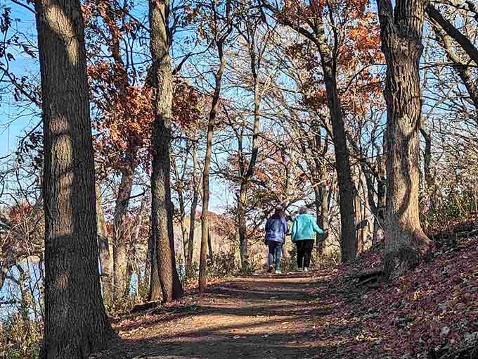 Fall hiking in Minnesota: where the trees put on a better show than anything streaming on your TV.