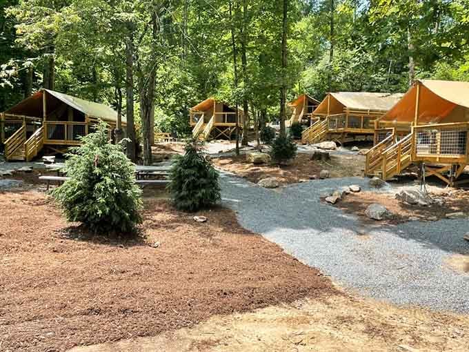 Glamping tents nestled in the woods offer that perfect balance between roughing it and sleeping comfortably.