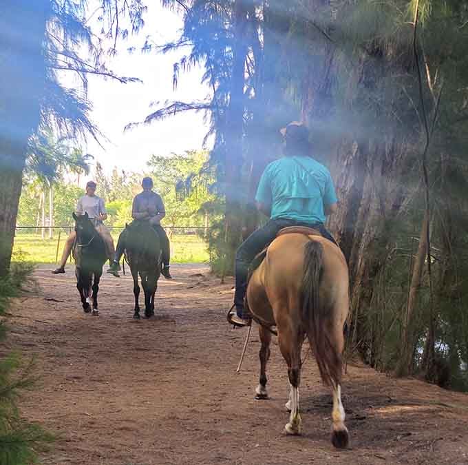 Horseback riders meander through morning mist like they've wandered into a Western film set in the Everglades.