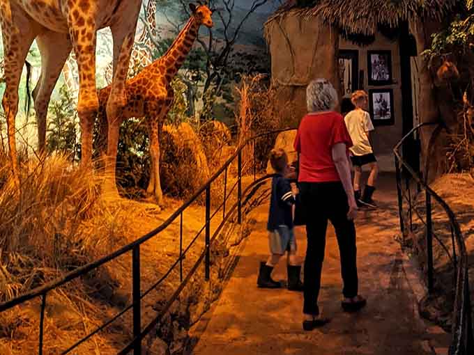 Families discovering that education and entertainment can actually coexist peacefully under one spectacular roof together.