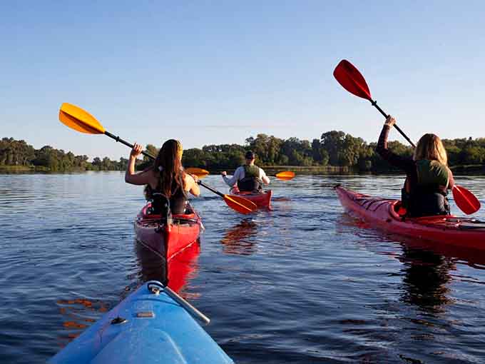 Paddling these protected waters offers perspectives you'll never get from land, plus excellent arm workouts nobody requested.