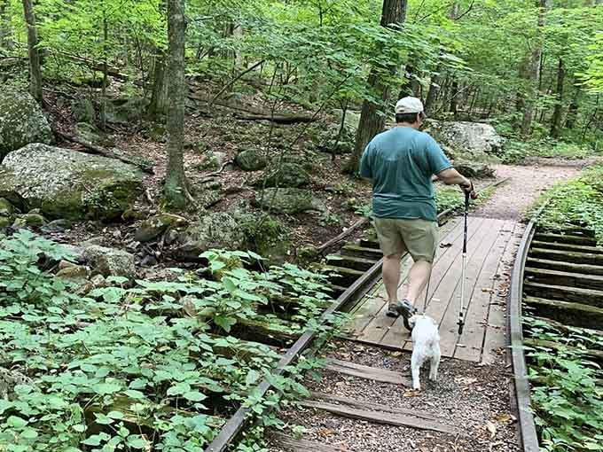 Even the dogs know this trail is special, leading their humans toward adventure with confident steps.