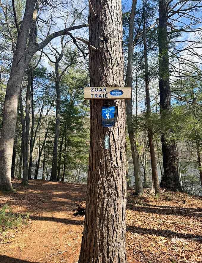 When even the trail markers look this inviting, you know you're about to experience something special in Fairfield's forests.