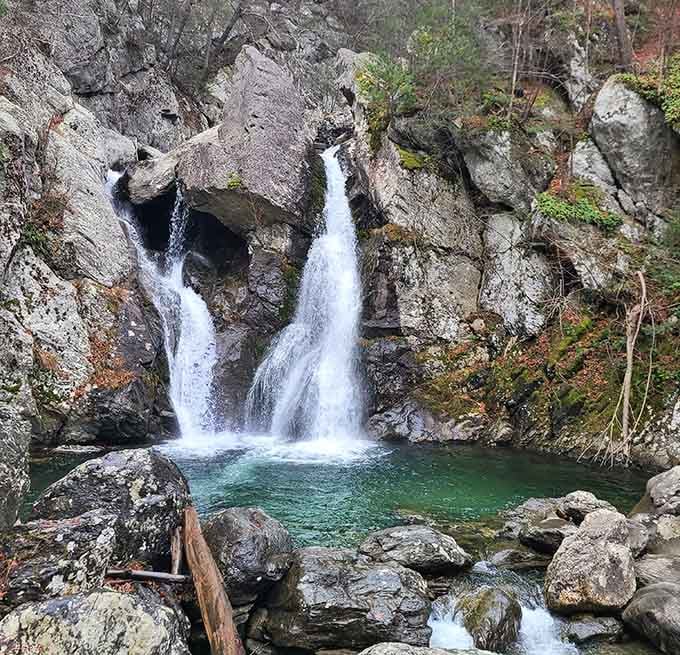 Twin cascades split around ancient rock, plunging into an emerald pool with the kind of drama that makes nature documentaries jealous.