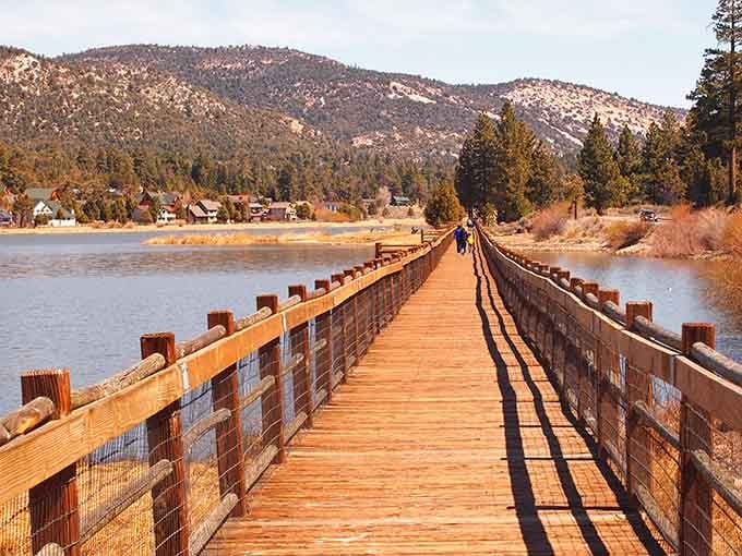 This wooden bridge stretches across calm waters toward pine-covered hills, inviting peaceful walks that clear your mind completely.