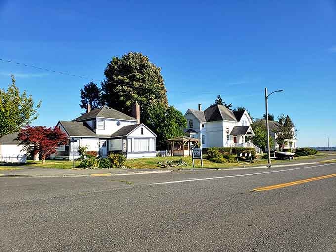 These Victorian homes stand like proud sentinels along the quiet street, their painted gables catching afternoon light perfectly.