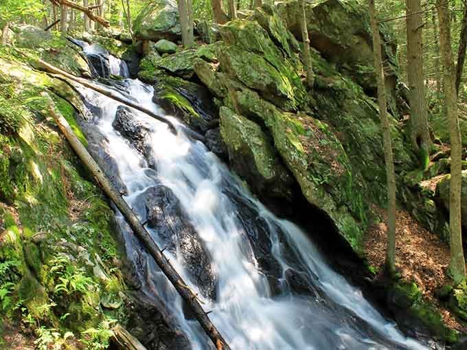 Lush green moss clings to every surface as water rushes down this shaded woodland cascade.