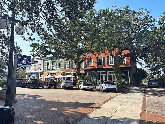 Those ancient oaks frame Georgetown's waterfront like nature's own cathedral, sheltering stories older than your grandparents' grandparents.