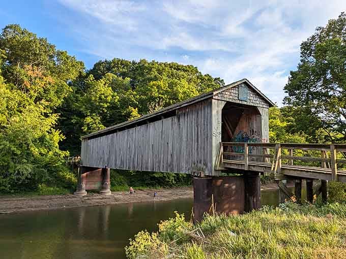 Golden hour light bathes this silvery-gray beauty while the creek below mirrors the peaceful surrounding forest.