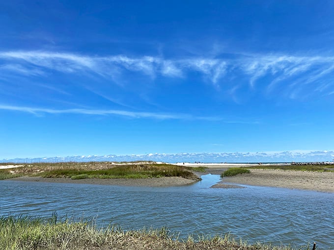 Those wispy clouds paint the sky while pristine marshland stretches toward infinity in every direction.