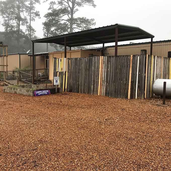 When smoke rises lazily through the pines, you know you've found a barbecue spot that takes its sweet time.