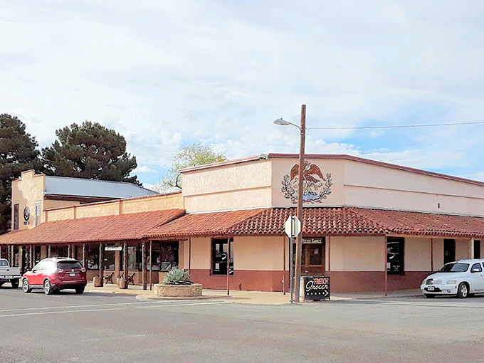 The terracotta roof tiles add a touch of Mediterranean flair to this desert outpost of civilization.